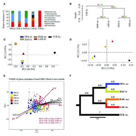Function Abundance Classification Based On Orf Approach Composition
