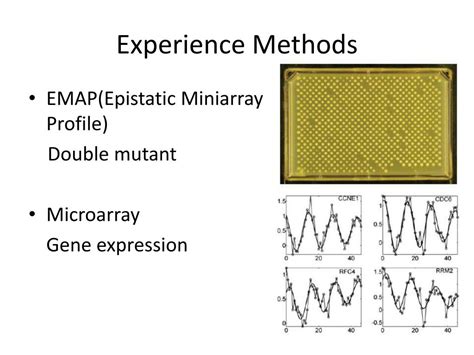 Ppt Yeast Cell Cycle Regulation Network Inference Powerpoint