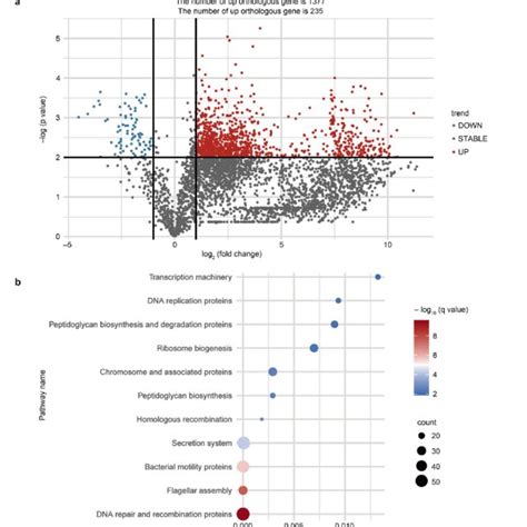 Kegg Enrichment Analysis Of Bacterial Communities A Volcano Plots Of
