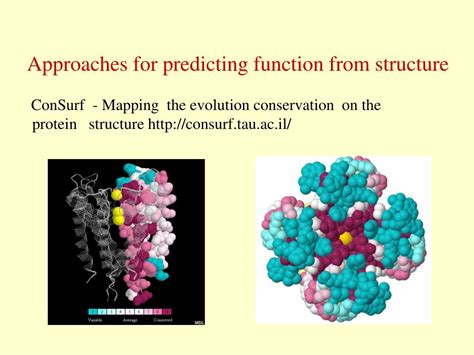 Ppt Protein Tertiary Structure Prediction Powerpoint Presentation