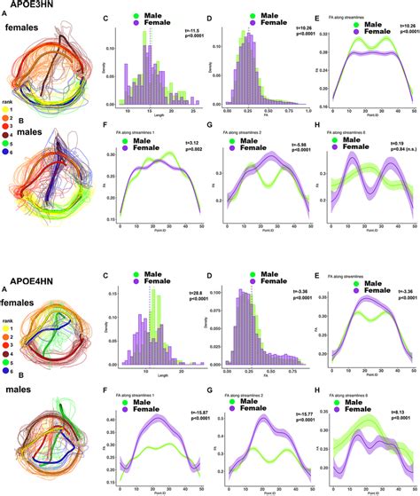 Within Genotype Between Sex A Female B Male Analyses For The