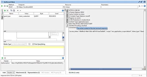 integration solutions with wso2 token api client credentials grant
