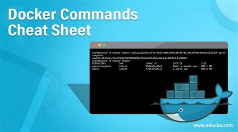 docker commands cheat sheet best interactive cheat sheet