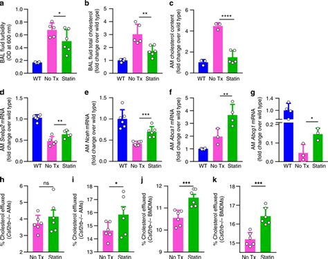 Statin Therapy Improves Cholesterol Efflux From Macrophages And