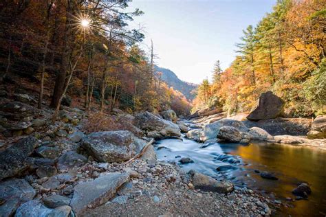 Hidden Forest Pools Of North Carolinas Pisgah Touristsecrets