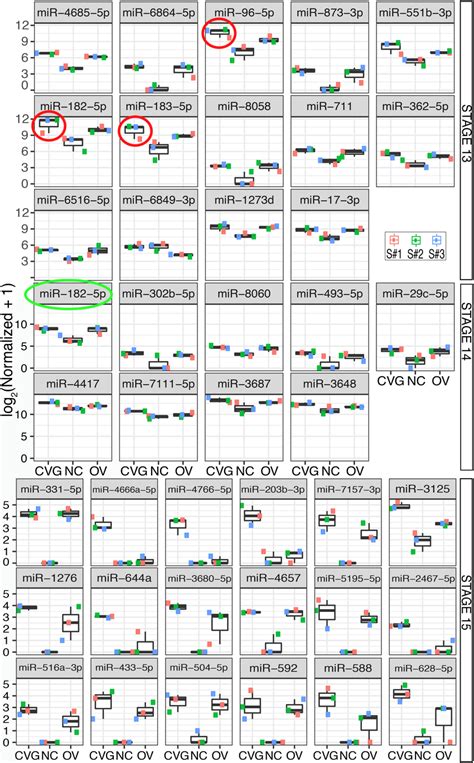 Differential Expression Of Mirna Across Tissues Differentially