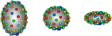 Frontiers Learning Spatiotemporal Statistical Shape Models For Non
