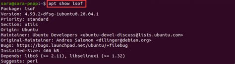 Apt Linux Command With 13 Examples Phoenixnap Kb