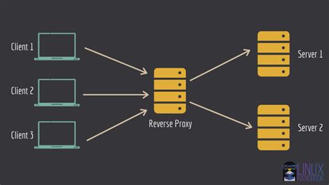 how to use nginx reverse proxy with multiple docker apps eu vietnam