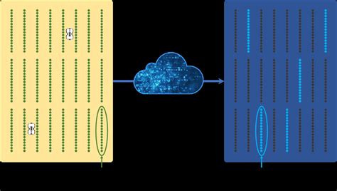 A Visualization Of The High Throughput Phenotyping Pipeline Shown Here