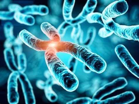 what is a gene mutation and how do they happen