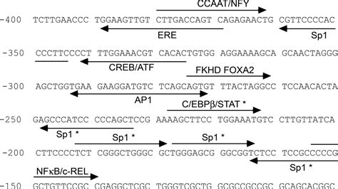 The Constitutive Expression Of Anticoagulant Protein S Is Regulated