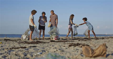 Adapting Yourself To Take Action On The Environment Pursuit By The