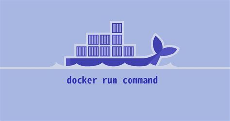 docker run image attach io lynstashokx