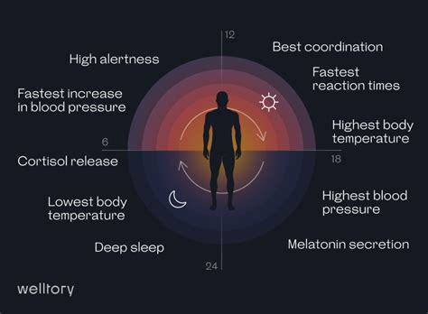 How To Reset Your Circadian Rhythm And Fix Your Internal Clock Welltory