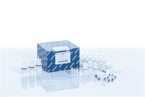 Qiagen Dna Extraction Kit