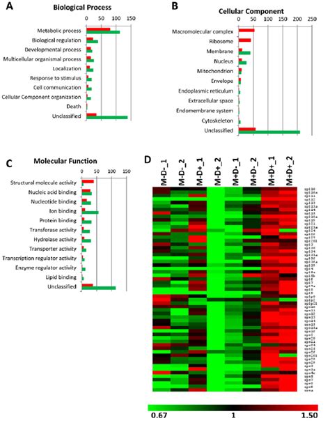 Functional Classification And Visualization Of Differentially Expressed