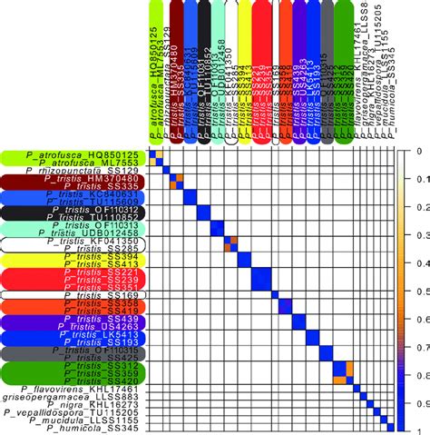 Pairwise Similarity Matrix Between The Clusters Of The Stacey Species