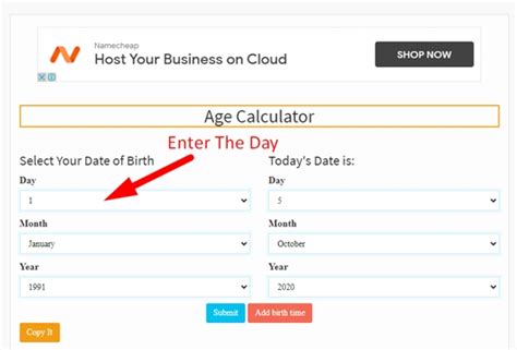 chronological age calculator age finder seo tools centre