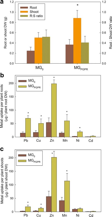 Root And Shoot Biomass Per Miscanthus X Giganteus Rhizome And