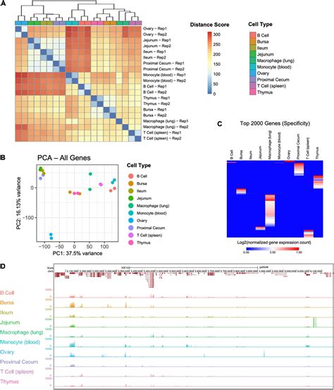 Frontiers Transcriptomes Of An Array Of Chicken Ovary Intestinal
