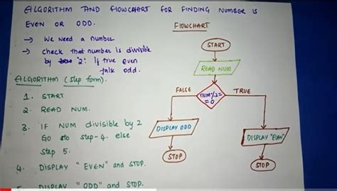 draw a flowchart to check prime number