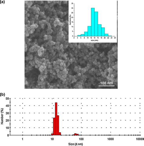 Fesem Image A And Dls Result Of Particle Size Distribution B Of The