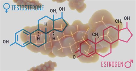hormones tagged for sex differences in hdl c medpage today