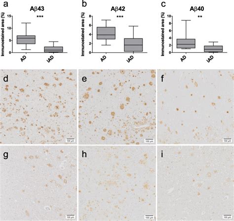 Effect Of Immunotherapy On Parenchymal Aβ Load Aβ43 A Aβ42 B And