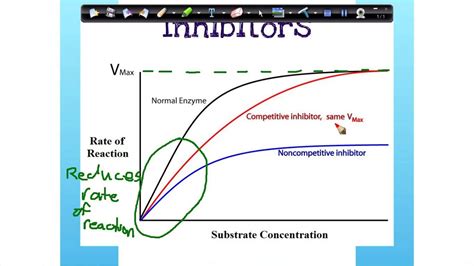 How To Read Enzyme Activity Graph