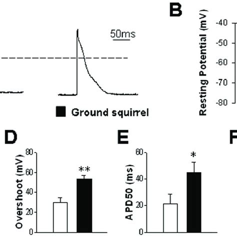 Action Potentials Evoked By Current Pulses A Typical Examples Of