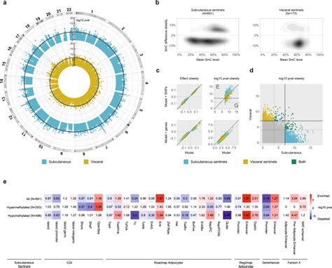 Integrative Genomic Analyses In Adipocytes Implicate Dna Methylation In