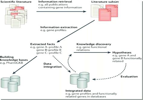 The Approach Followed By Text Mining Method In General Download