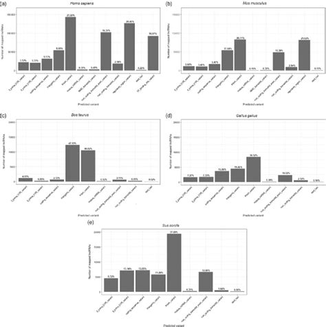 Genomic Annotation Of Long Non Coding Rna Genes From The Noncode