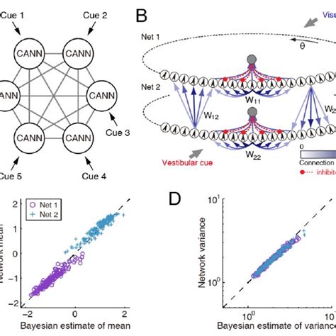 A Continuous Attractor Neural Network Cann Model A An Illustration