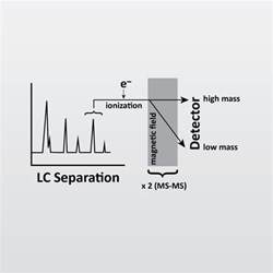 lc ms ms liquid chromatography eag laboratories