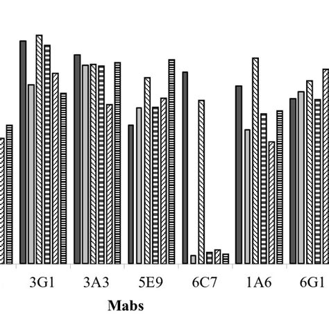 Immunoreactivity Of The Mabs To P166 Proteins Derived From Different
