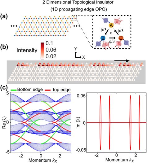 Topological Optical Parametric Oscillation