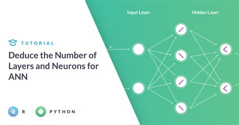 deduce the number of layers and neurons for ann datacamp