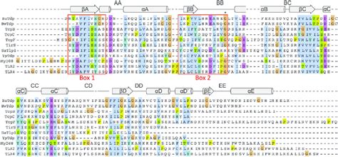 Sequence Alignment Of Tir Domain Proteins Sequence Alignment Of The