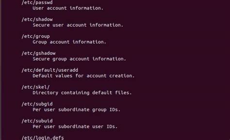 how to create a user in ubuntu debian ‘useradd command usage a