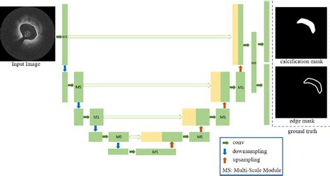 Figure 1 From Automatic Assessment Of Calci Ed Plaque And Nodule By