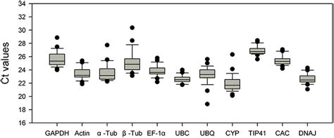 Frontiers Validation Of Suitable Reference Genes For Gene Expression
