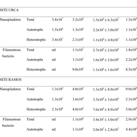 Minimum Maximum Average Standard Deviation And Median Values Of Cell