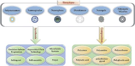 Different Polymeric Nps Based On Composition Manufacturing Process