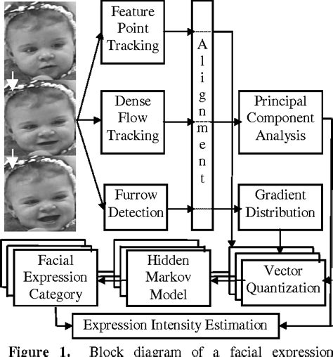 Figure 1 From Subtly Different Facial Expression Recognition And