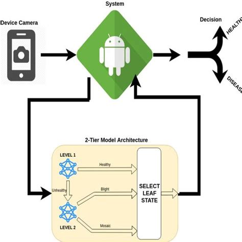 Pdf Detection And Classification Of Cassava Diseases Using Machine