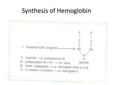Ppt Hemoglobin Powerpoint Presentation Free Download Id 9672241