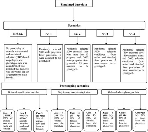 Frontiers Selective Genotyping To Implement Genomic Selection In Beef