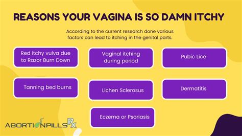 Ppt 14 Reasons Your Vagina Is So Damn Itchy Powerpoint Presentation